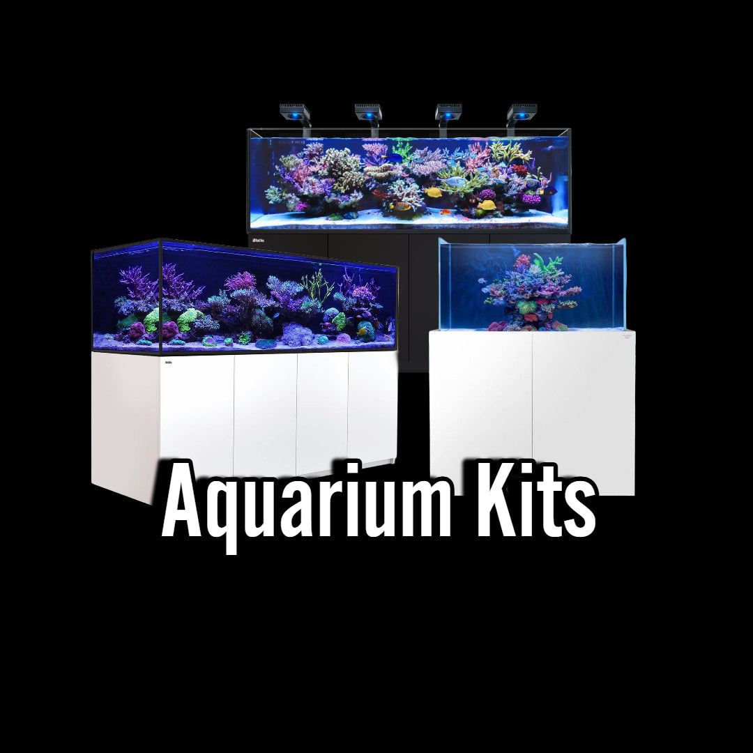 Aquarium Kits – Reef Paradise