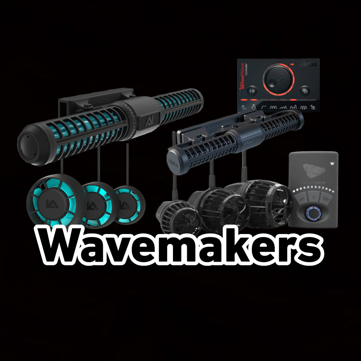 Wavemakers – Reef Paradise