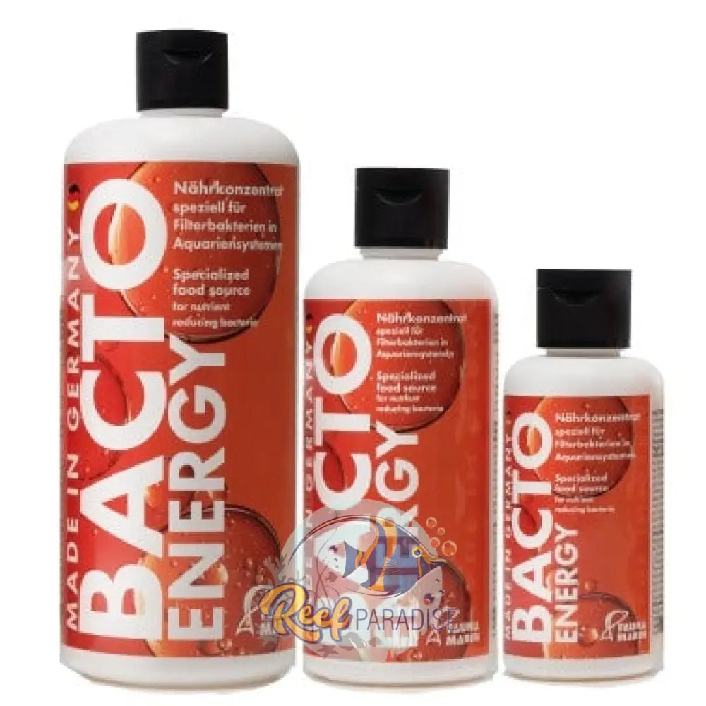 Bacto Energy – Reef Paradise