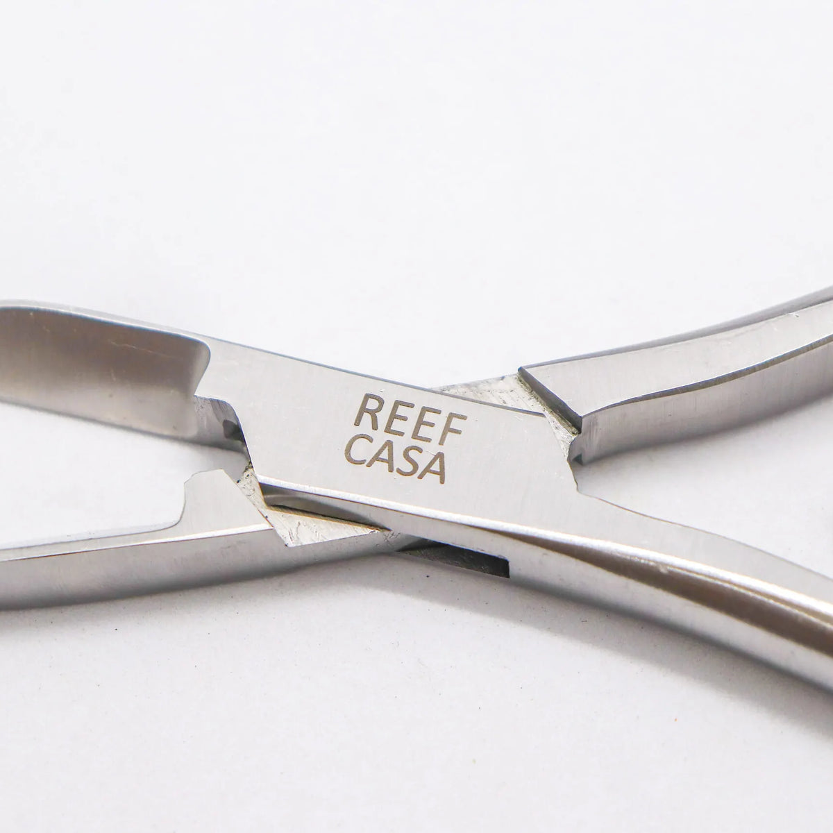 Coral Cutter – Reef Paradise